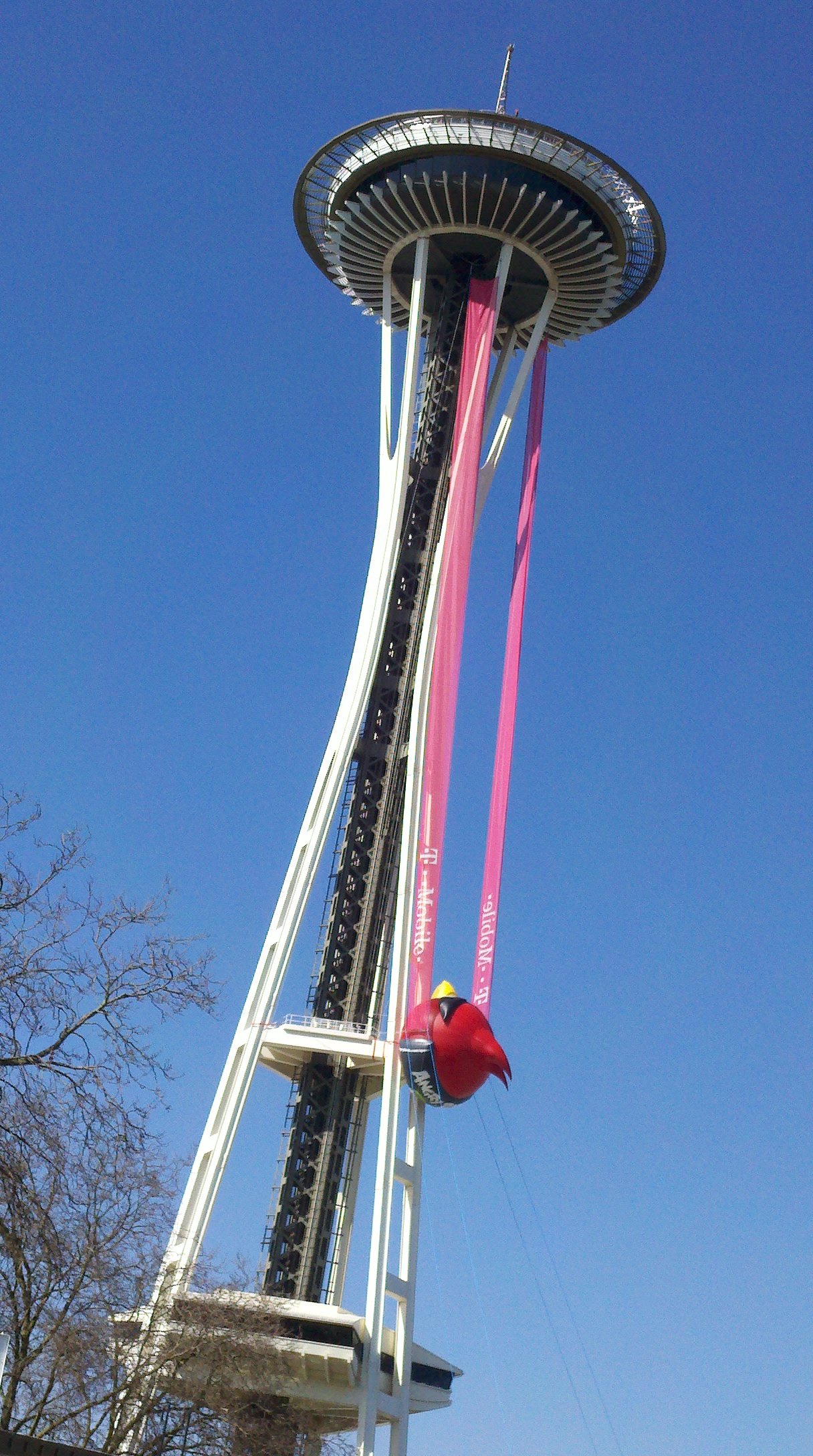 Bird On A Needle Fearey